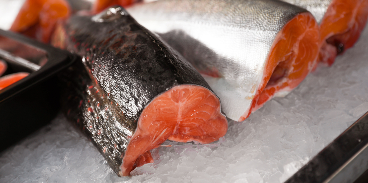 Fish Treats and Their Remarkable Benefits for Dogs